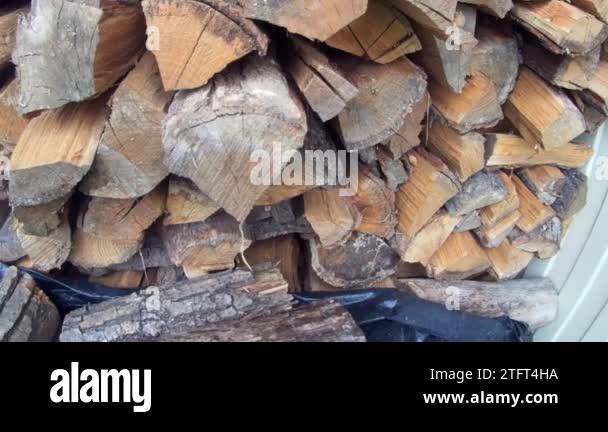 Canopy stack Stock Videos & Footage - HD and 4K Video Clips - Alamy