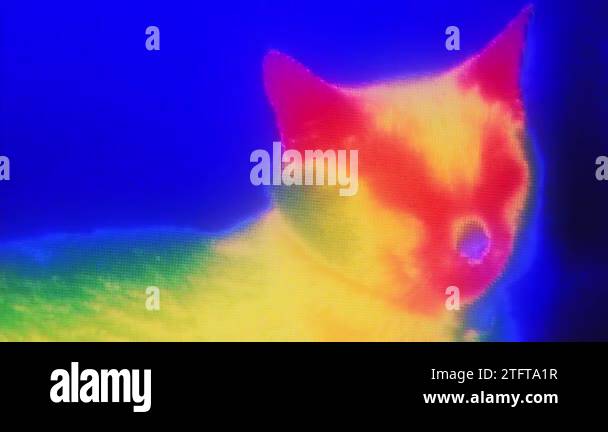 Thermal camera body Stock Videos & Footage - HD and 4K Video Clips - Alamy
