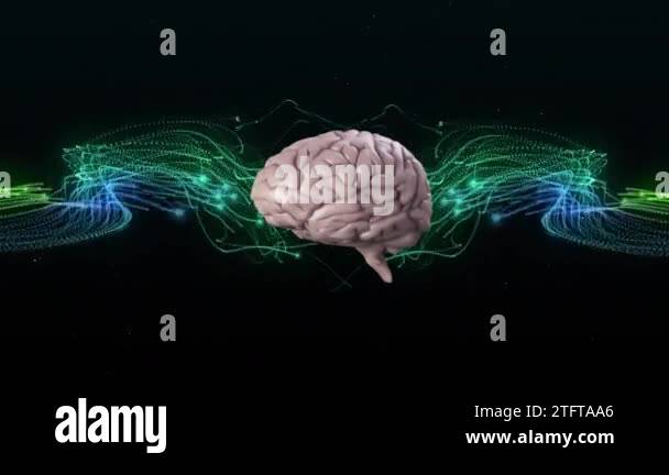 Human brain spinning against green and blue digital waves on black ...