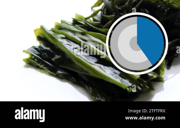 A business concept with seaweed and graphs. Pie-type graph showing ...