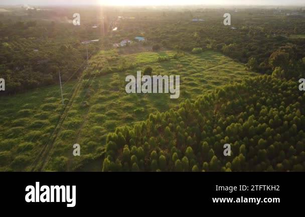 Aerial view of high voltage pylon foundation construction site. Top ...