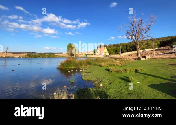 Partridge house Stock Videos & Footage - HD and 4K Video Clips - Alamy