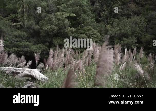Horizontal spikes Stock Videos & Footage - HD and 4K Video Clips - Alamy
