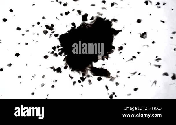 abstract isolated Drops of black ink paints with splashes drip falling ...