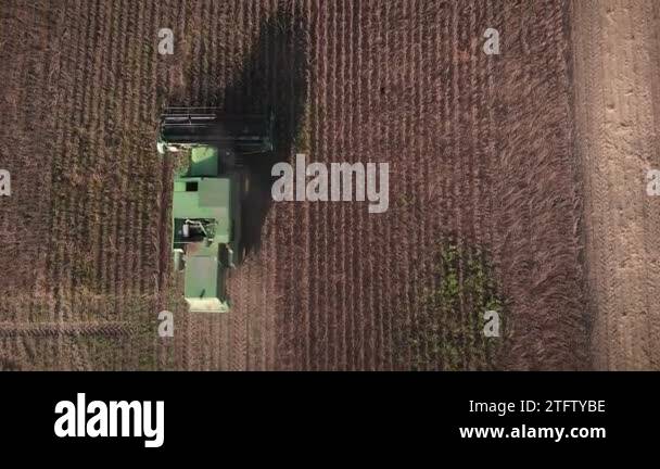 Cutting crops ripe Stock Videos & Footage - HD and 4K Video Clips - Alamy