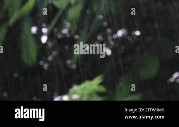 Close-up footage of defocused Rain water pouring down due to cyclonic ...