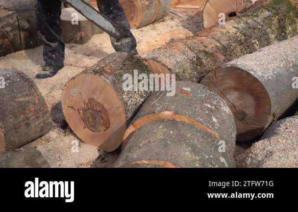 Chainsaw man cutting wood timber log Stock Videos & Footage - HD and 4K ...
