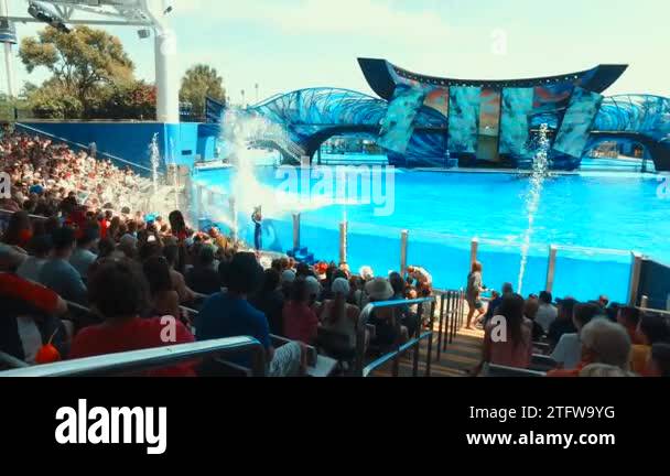 Killer Whales Perform During the Shamu Show at Sea World Orlando - One ...
