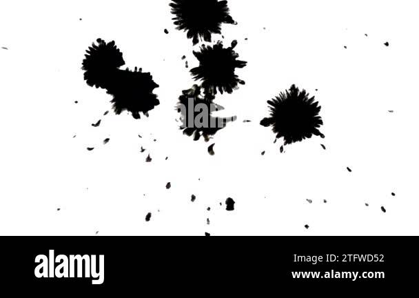 Dripping spreads black ink with splashing drops on white background ...