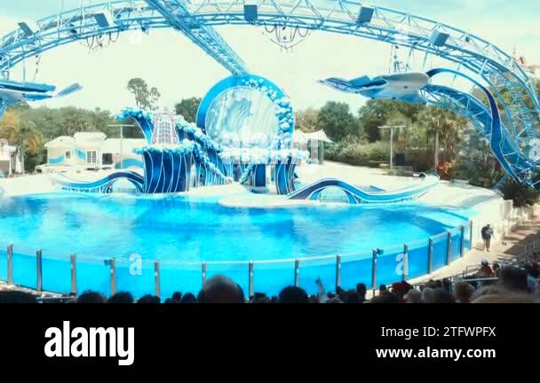 Killer Whales Perform During the Shamu Show at Sea World Orlando - One ...