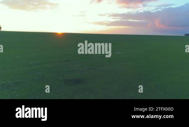 4K UHD aerial view. Low flight above rural summer landscape with ...