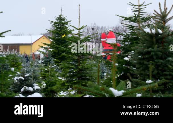 Family tree people figure Stock Videos & Footage - HD and 4K Video ...