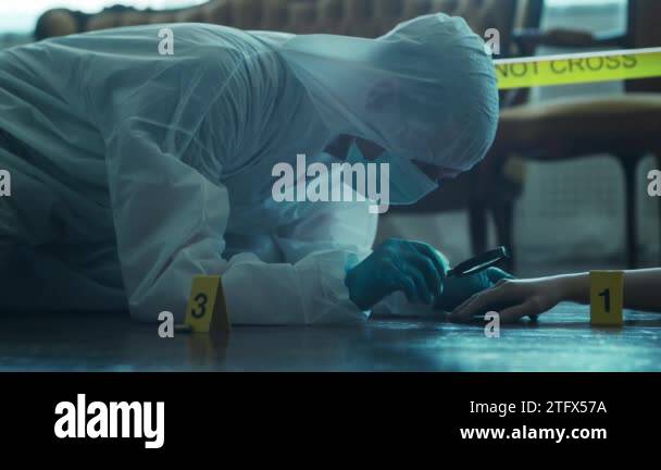 Detective Collecting Evidence in a Crime Scene. Forensic Specialists ...