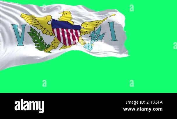 Flag of United States Virgin Islands waving isolated on a green ...