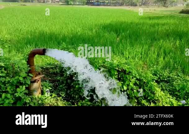 Video footage of irrigation of water from submersible pumps in rural ...