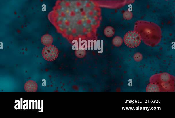 Blood group microscope Stock Videos & Footage - HD and 4K Video Clips ...