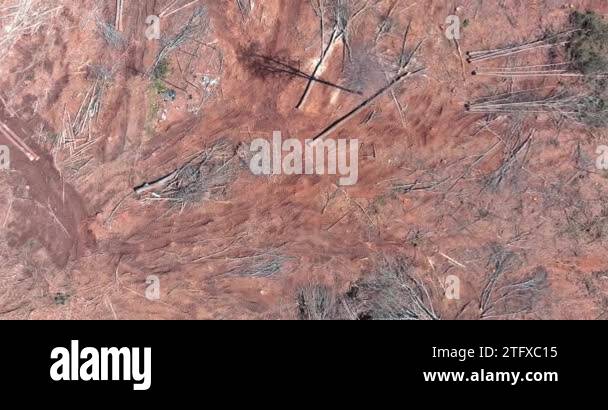 Deforestation process Stock Videos & Footage - HD and 4K Video Clips ...