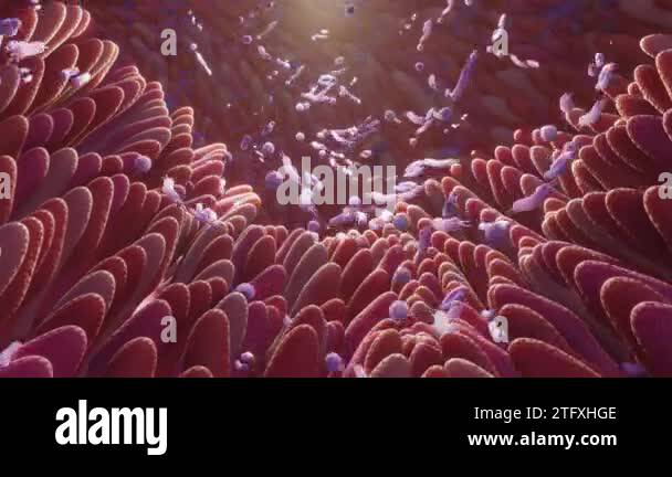 Microbiome intestine factories and microbiota. Gut health 3d render ...