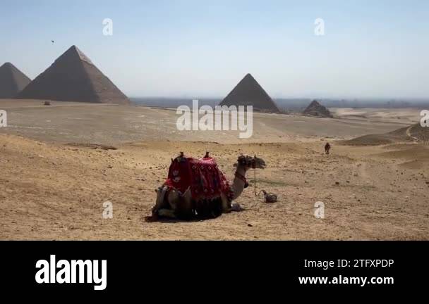 Camel monument Stock Videos & Footage - HD and 4K Video Clips - Alamy