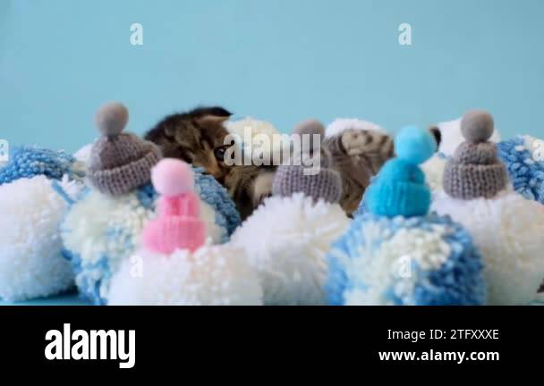 Fluffy mini pom poms Stock Videos & Footage - HD and 4K Video Clips - Alamy