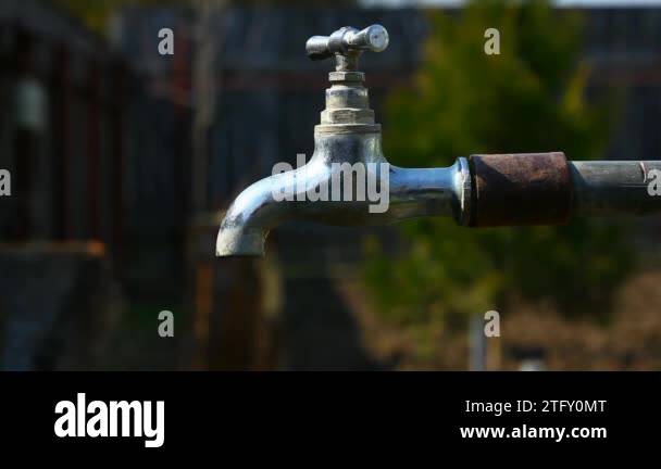 Dripping tap garden Stock Videos & Footage - HD and 4K Video Clips - Alamy