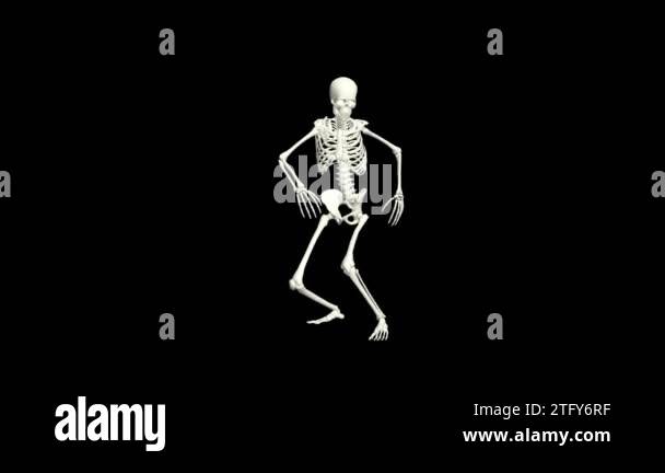 Dancing Skeleton 3D.3D Skeleton Dance Animation. Skeleton 3D dance ...