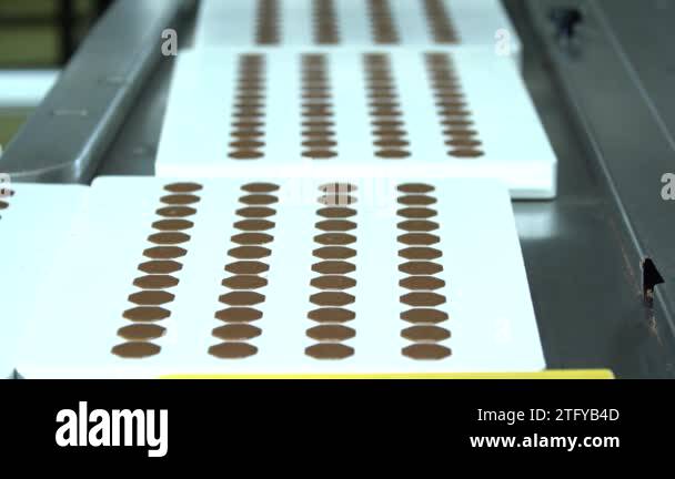 Automated Production line of chocolate pralines in a factory. Different ...