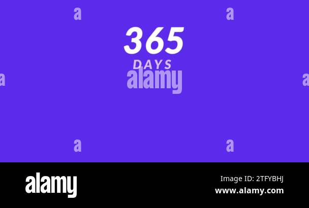 365-days money back guarantee. Money Back Guarantee Modern Animation ...