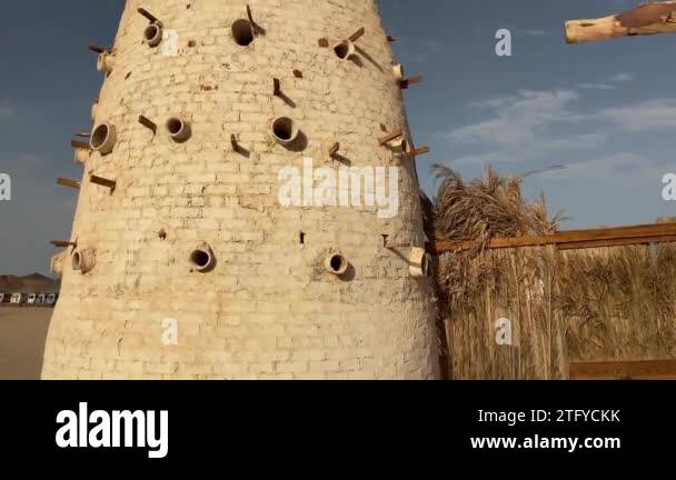 Dovecotes Stock Videos & Footage - HD and 4K Video Clips - Alamy