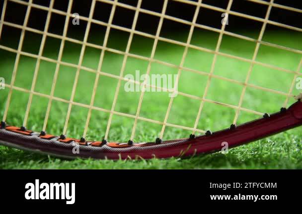 Grass racquet tennis Stock Videos & Footage - HD and 4K Video Clips - Alamy
