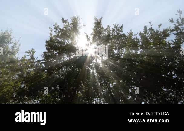 Sun rays pass through trees Stock Videos & Footage - HD and 4K Video ...