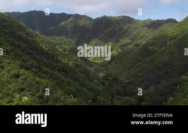 This was shot on the Hauula Loop Trail of Kaipapau Gulch on Oahu ...