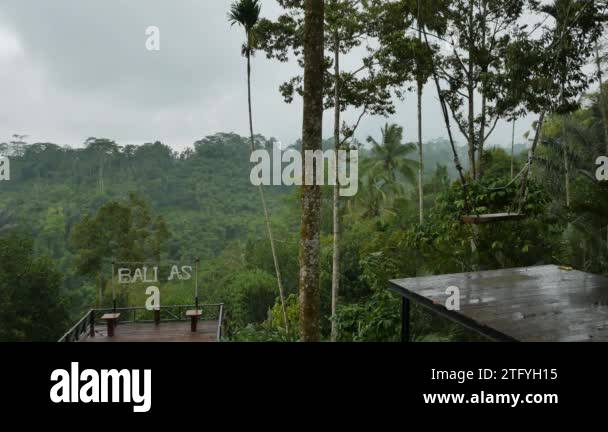 Wet empty tourist terrace, swing and magnificent view on jungles in the ...
