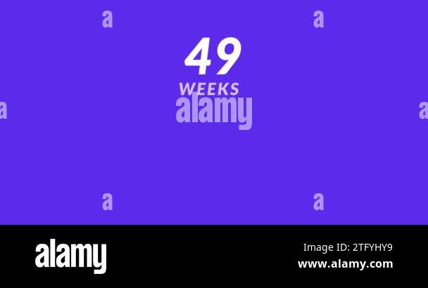 49-weeks money back guarantee. Money Back Guarantee Modern Animation ...