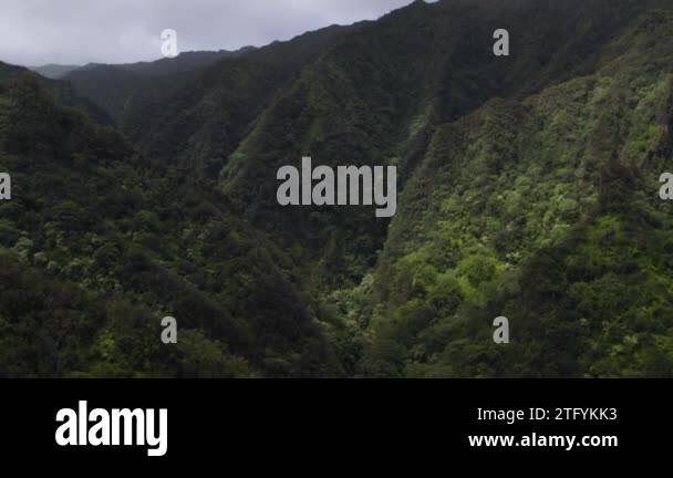 This was shot on the Hauula Loop Trail of Kaipapau Gulch on Oahu ...