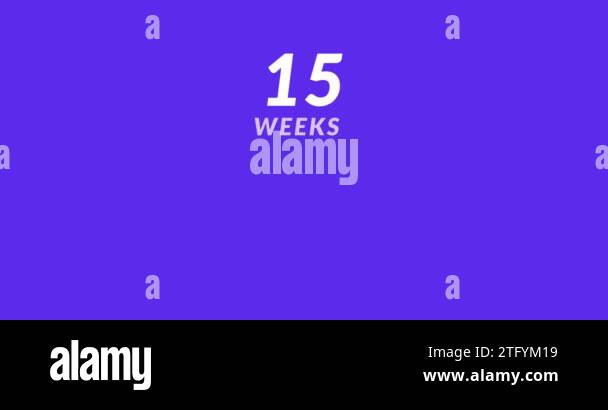 15 weeks Stock Videos & Footage - HD and 4K Video Clips - Alamy
