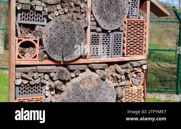 Cavity nesting solitary bees Stock Videos & Footage - HD and 4K Video ...