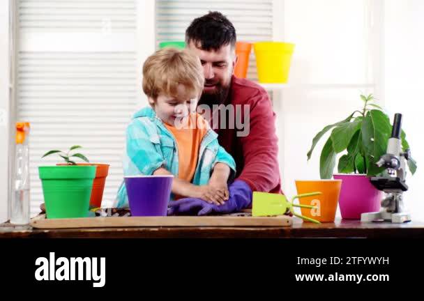 Father ans son growing plant in pot. Little cute boy helps his parents ...