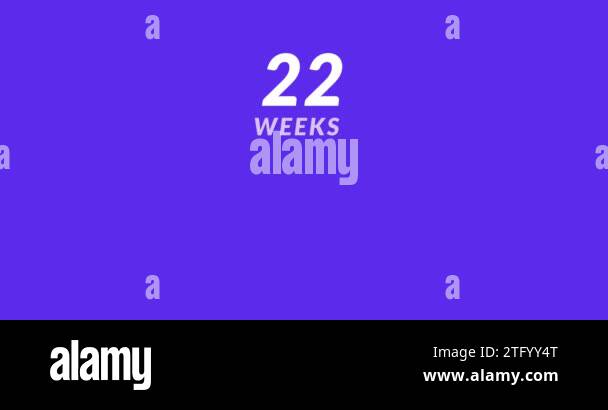 22-weeks money back guarantee. Money Back Guarantee Modern Animation ...