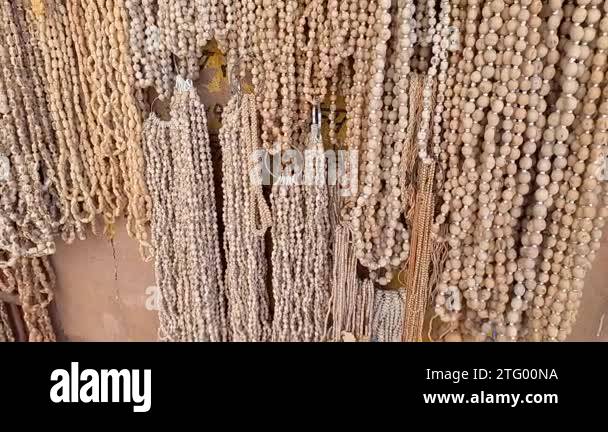 Tulsi vrindavan holy plant of hindu Stock Videos & Footage - HD and 4K ...