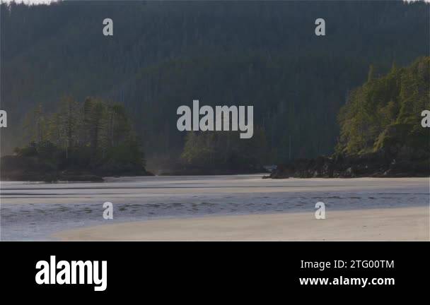 Sandy beach on Pacific Ocean Coast View. Sunny Blue Sky. San Josef Bay ...