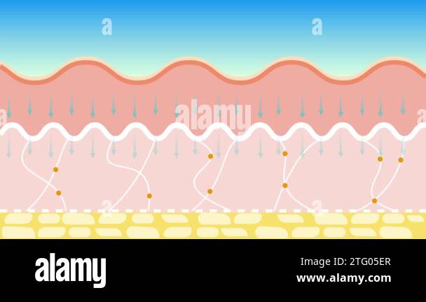 Tightening process Stock Videos & Footage - HD and 4K Video Clips - Alamy