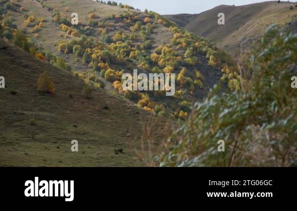 Slope of a hill Stock Videos & Footage - HD and 4K Video Clips - Alamy