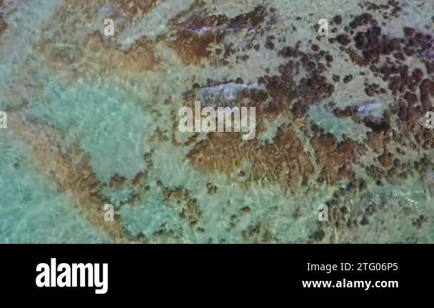 Cyanobacteria fossils Stock Videos & Footage - HD and 4K Video Clips ...