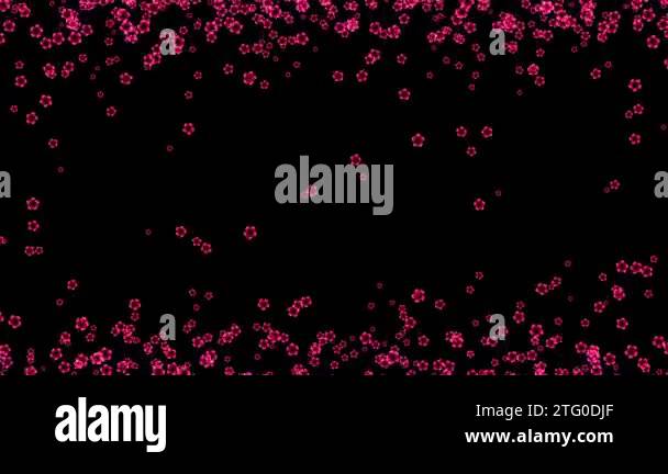 Spikey ball flower Stock Videos & Footage - HD and 4K Video Clips - Alamy