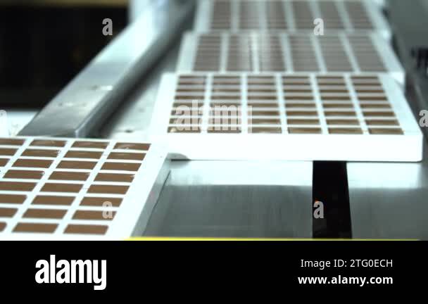 Automated Production line of chocolate pralines in a factory. Different ...