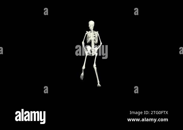 Dancing Skeleton 3D.3D Skeleton Dance Animation.Skeleton 3D dance Stock ...