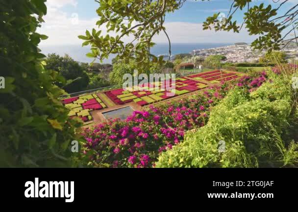 Rich flora and flowers in botanical garden of Funchal, Madeira ...