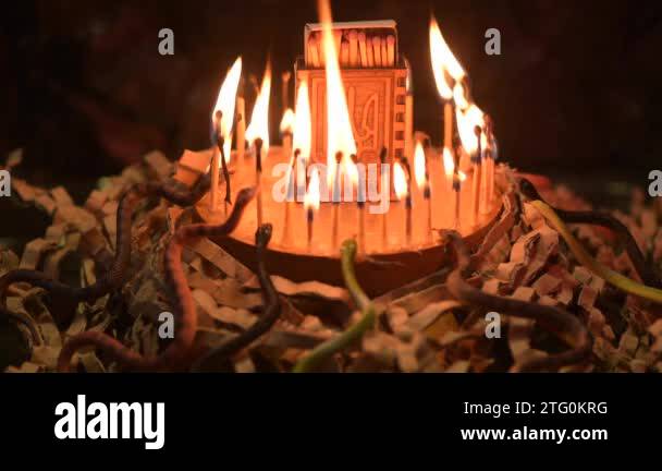 Snake installation Stock Videos & Footage - HD and 4K Video Clips - Alamy