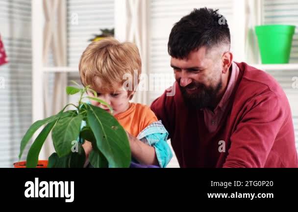 Father ans child son growing plant in pot. Little cute boy helps his ...